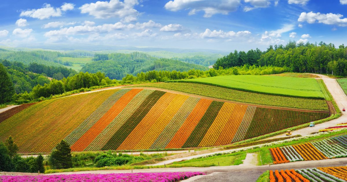 Furano | NISADE Real Estate